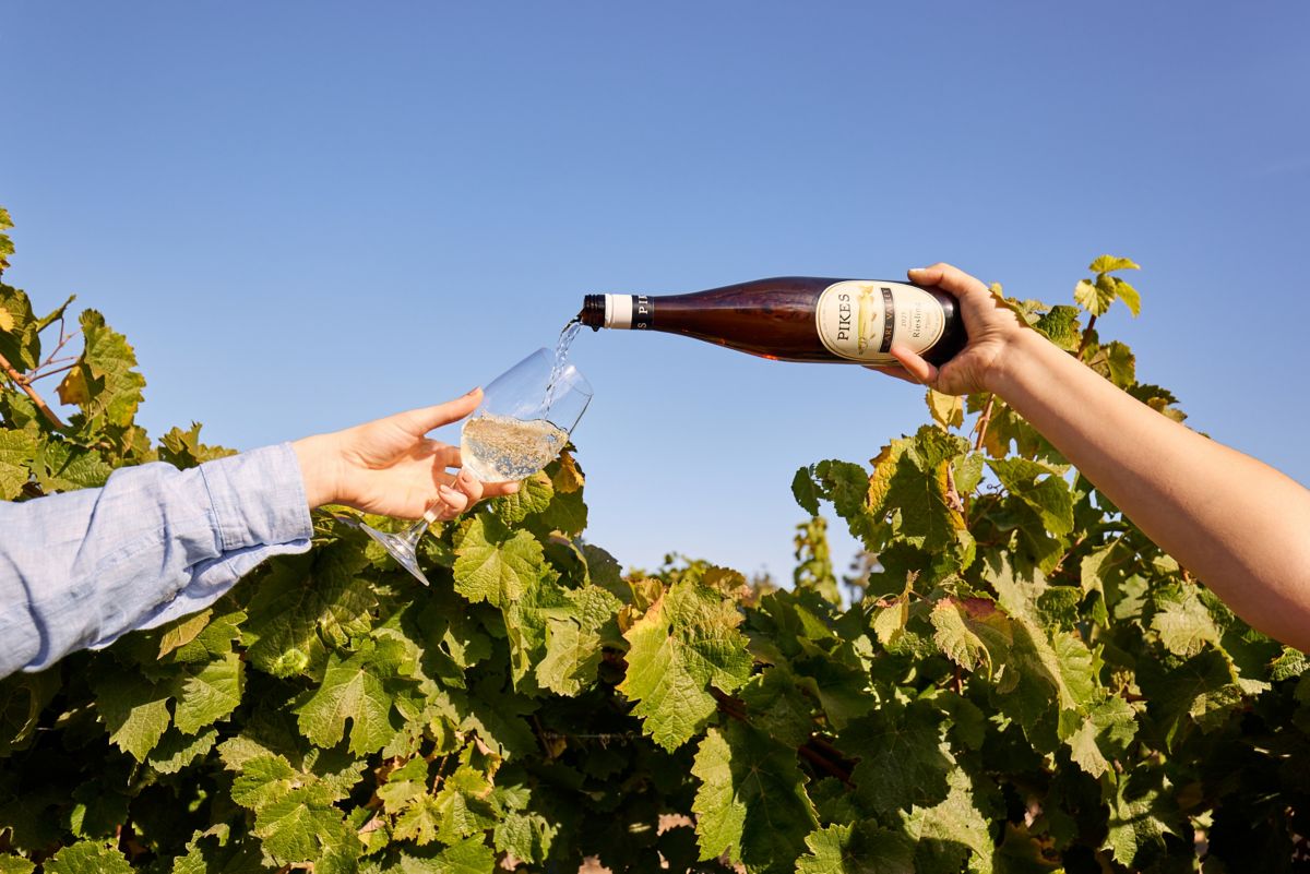 5 Best Riesling Wines in The Clare Valley Wine Region (Must-Try Wines ...