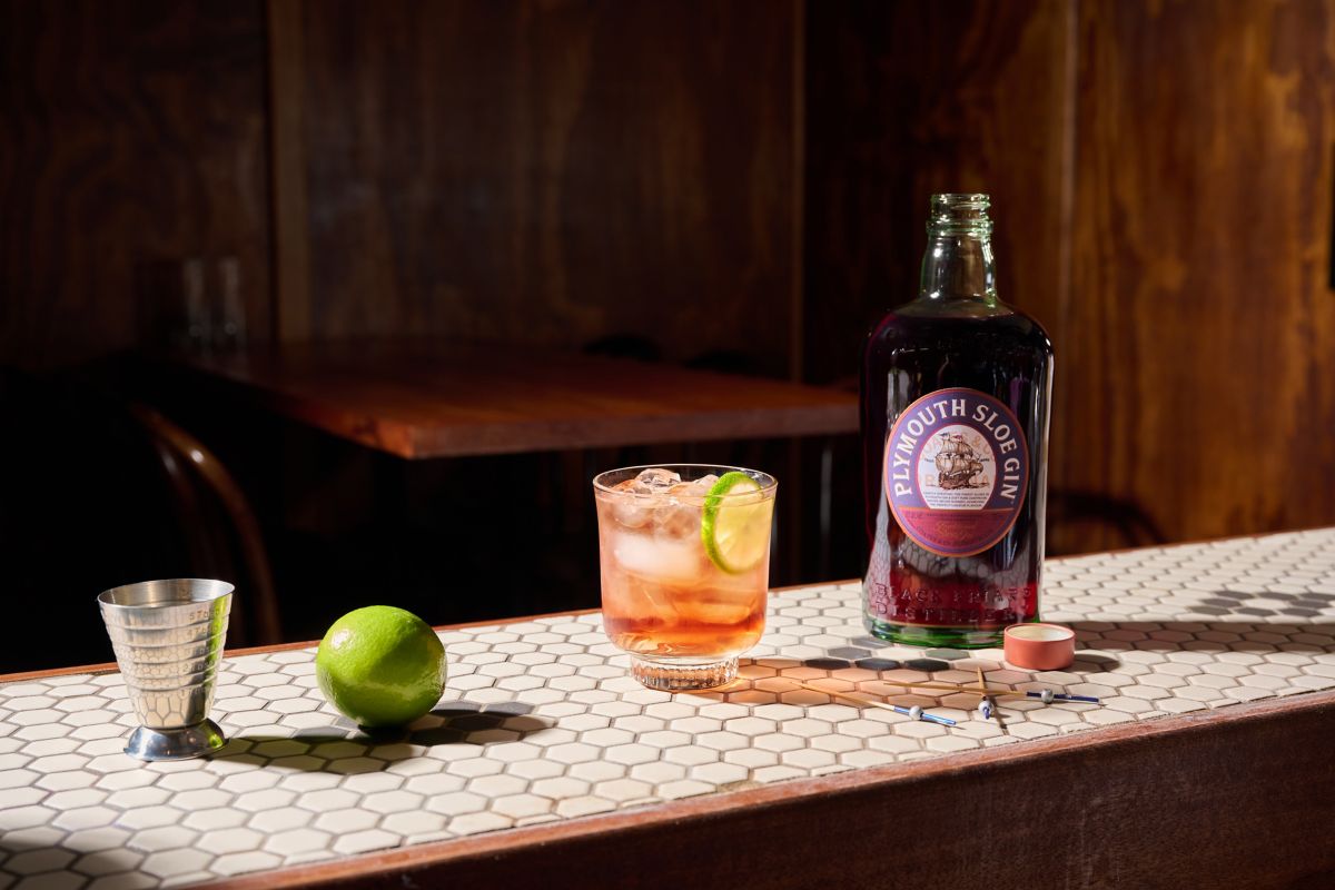 Guide to Sloe Gin: What is a Sloe Gin, How to Drink and What Does it ...