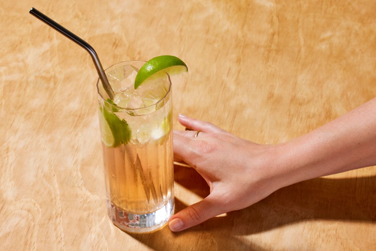 Lemon, Lime, and Bitters Cocktail Recipe - Easy Steps & Pro Tips - Dan ...