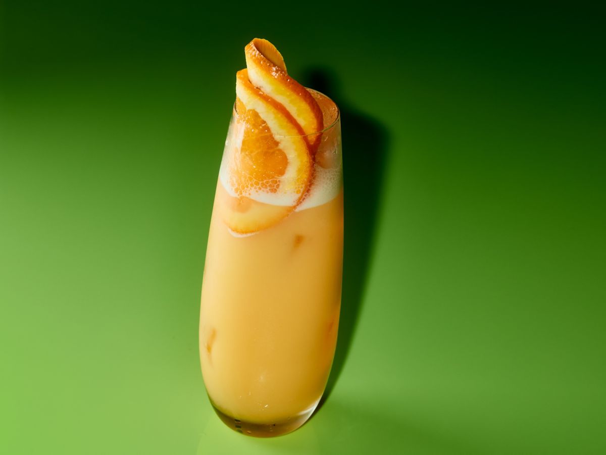 How to Make a Fluffy Duck Cocktail (with 6-Step Recipe + Ingredients ...