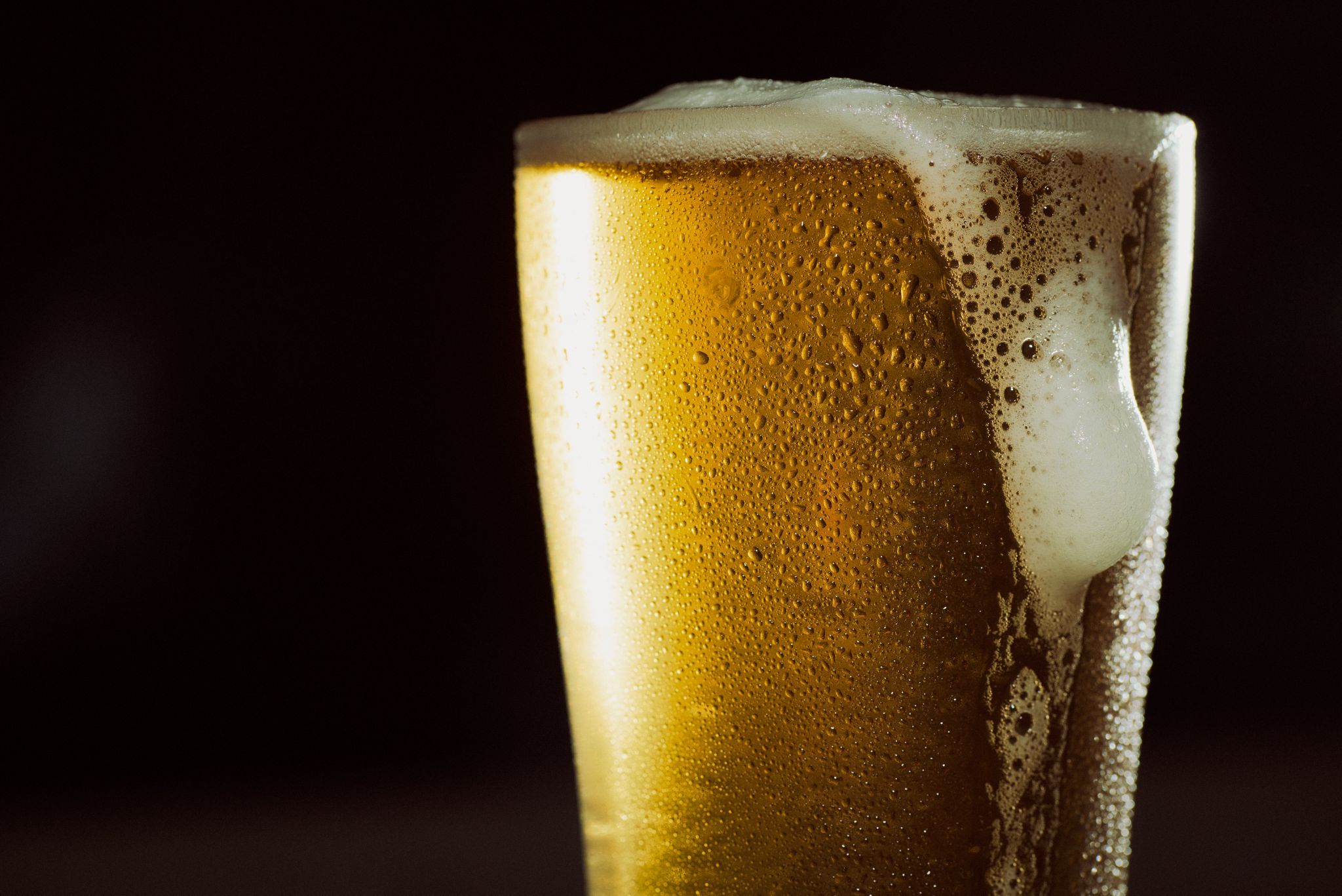 How is beer made? – Dan’s Daily | Dan Murphy’s