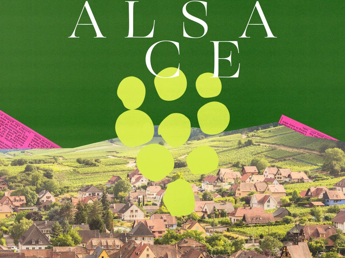 A Guide to Visit Alsace Wine Region & Vineyards | Best Alsace Wine ...