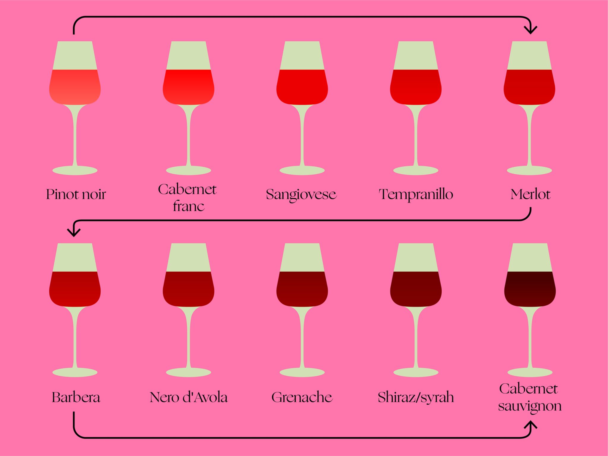 10 red wine varieties in order of lightest to boldest – Dan’s Daily ...