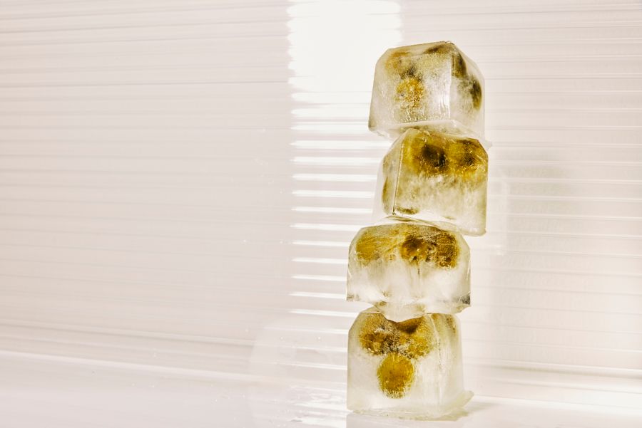 How to Make Flavoured DIY Ice For Cocktails (Complete Guide) - Dan's ...