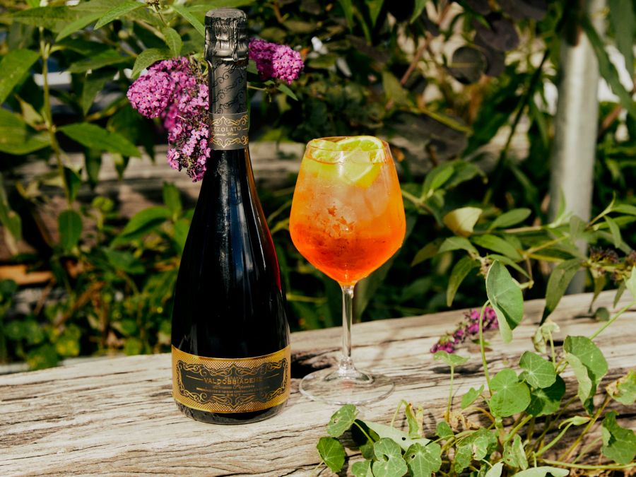 5 Best Proseccos to Make Aperol Spritz (All You Need to Know) - Dan's ...