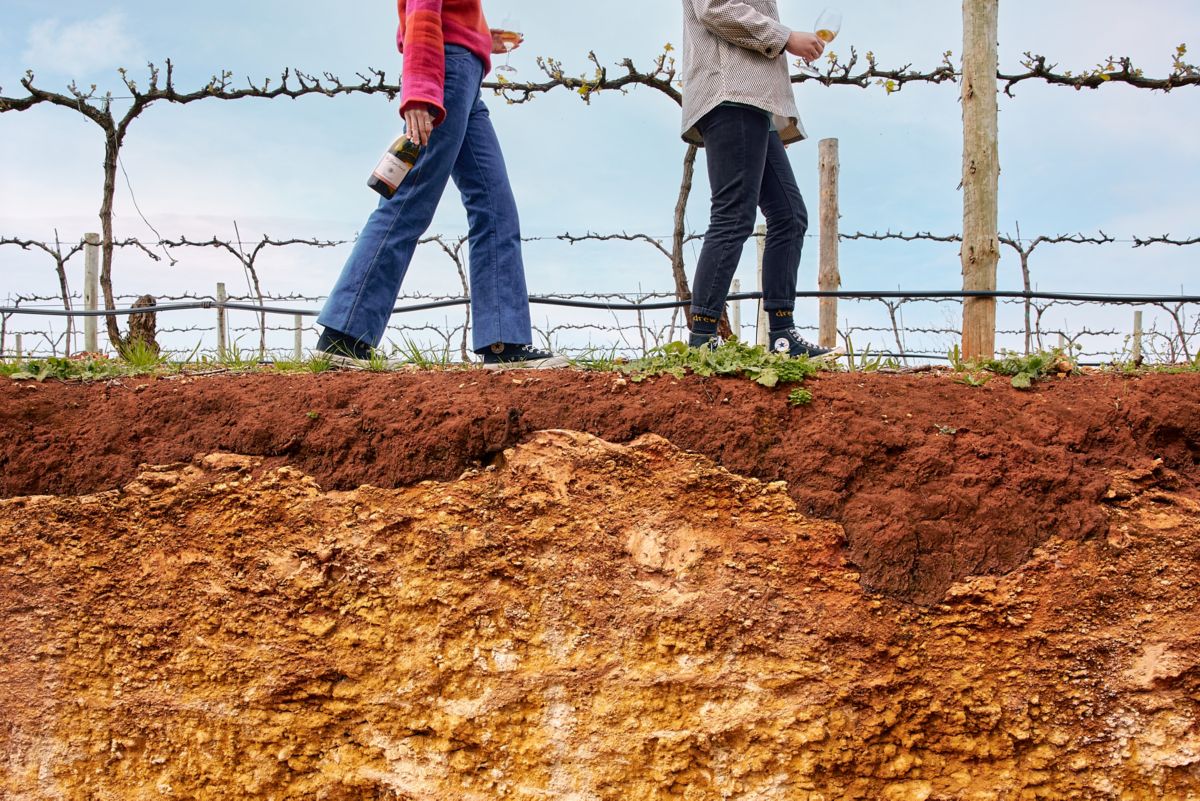 Coonawarra Wine Region [Ultimate Guide]: Places to Visit, Best Wines ...