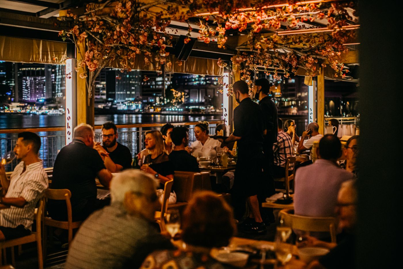 Yoko Dining: Best Japanese Restaurant in Brisbane (Regular's Tips ...