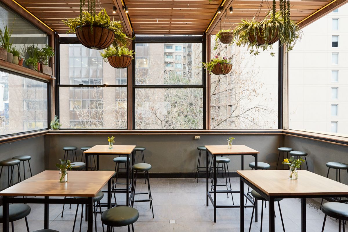 Bomba Bar: Melbourne's Best Rooftop Bar for After Work Drinks (With ...