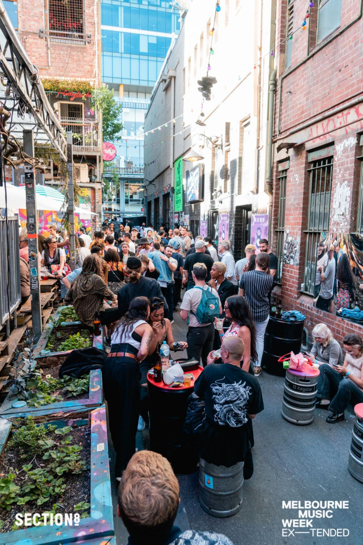 Section 8: An OG Laneway Bar in Melbourne (Regular's Tips) - Dan's ...