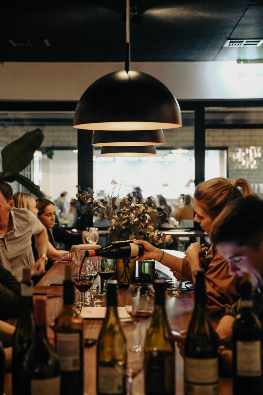 Jennie Wine Bar: A Local Wine Bar in Adelaide (Regular's Tips) - Dan's ...