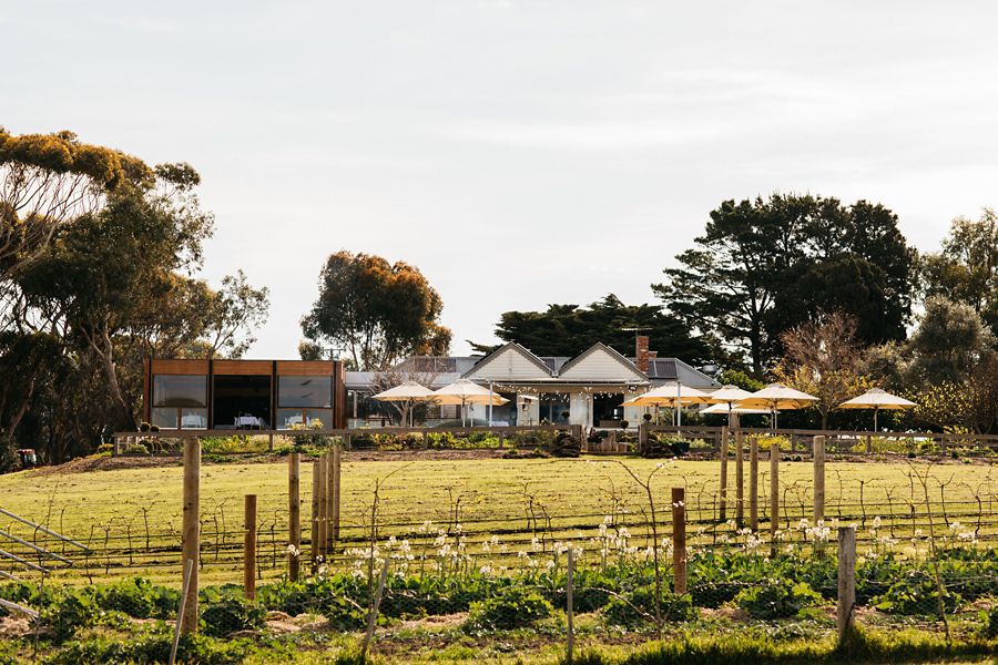 Ultimate Guide to Bellarine Peninsula Wine Region (Top Places, Wines ...