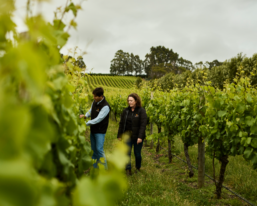 Buy Josef Chromy Winery Wines Online @ Lowest Price in Australia - Dan ...