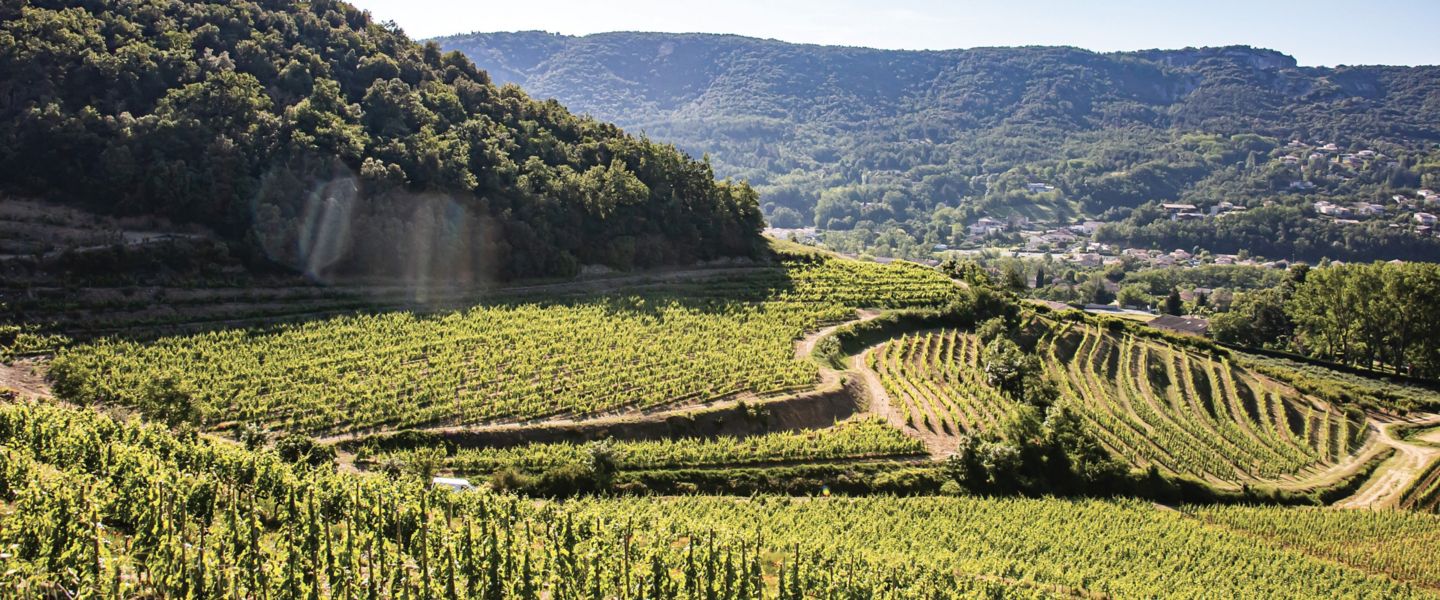 Buy Tardieu-Laurent | Dan Murphy’s