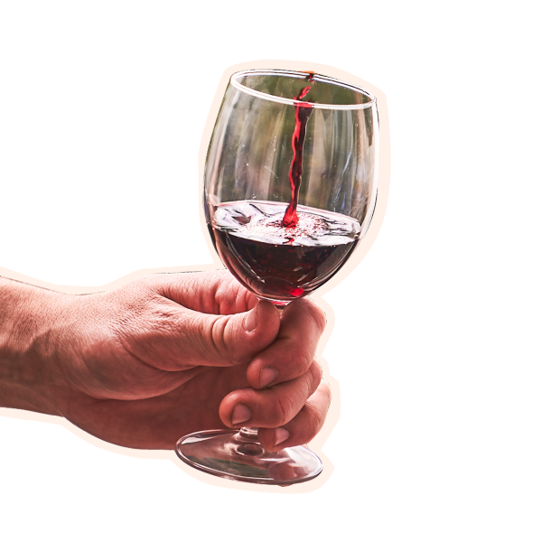 Explore the Ultimate Wine Guide: Recipes, Facts & More - The Drop | BWS